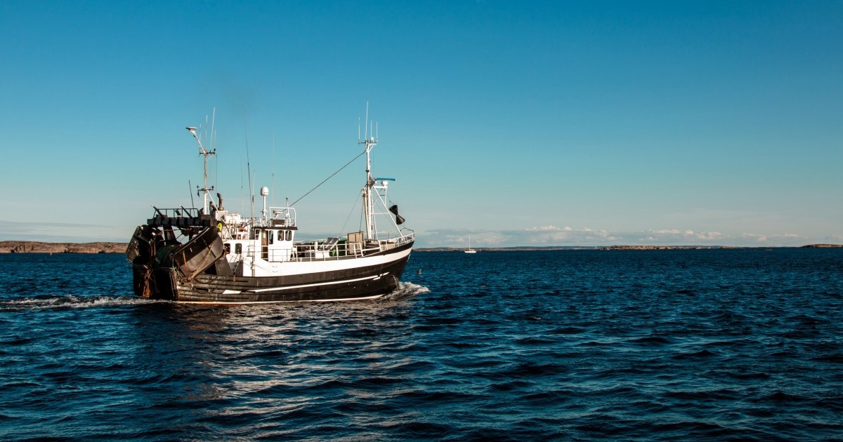 Fiskeri | Kristiansand Havn